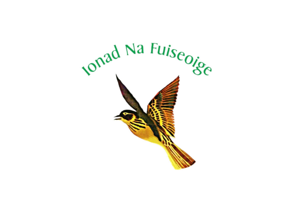 Ionad na Fuiseoige - Development Trusts NI